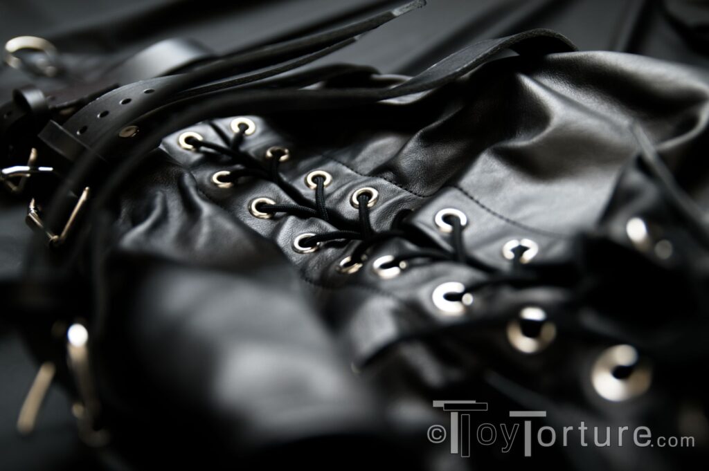 Fetters Leather Arm Binder – ToyTorture.com